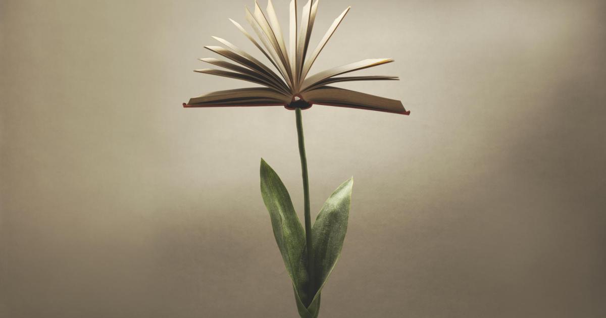 Non solo pro - Come le App trasformano Canva | Fastweb Digital Academy